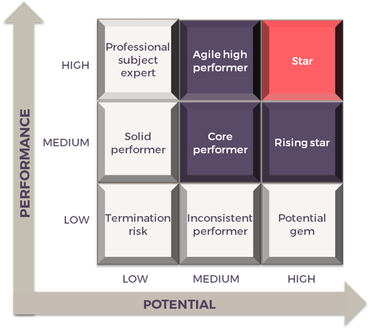 9 Box Grid Talent Innovations