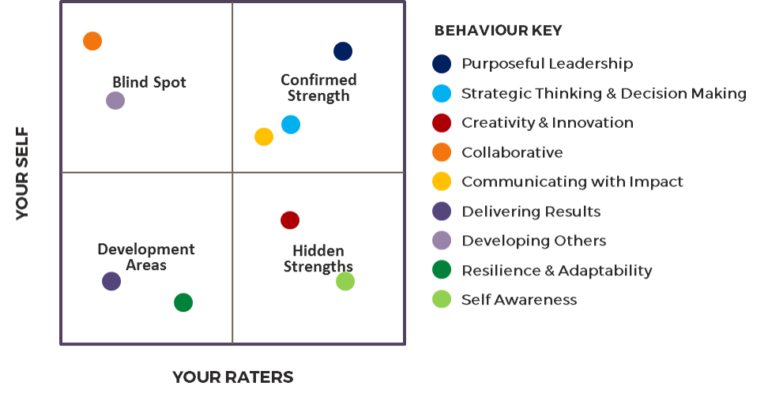 Johari new version 0310 - Talent Innovations